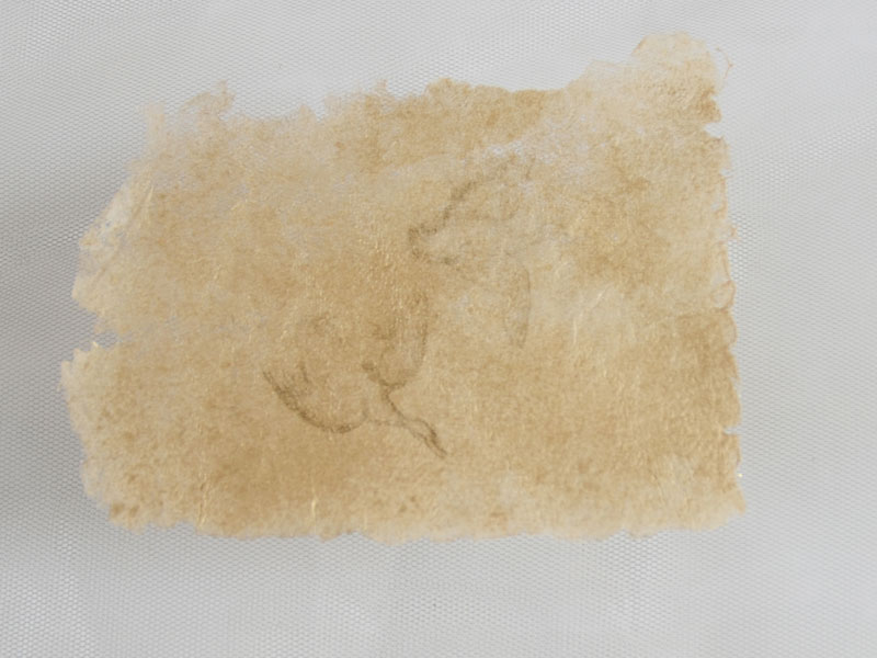 Emma Malig. Atlas in fine | Museo Nacional de Bellas Artes