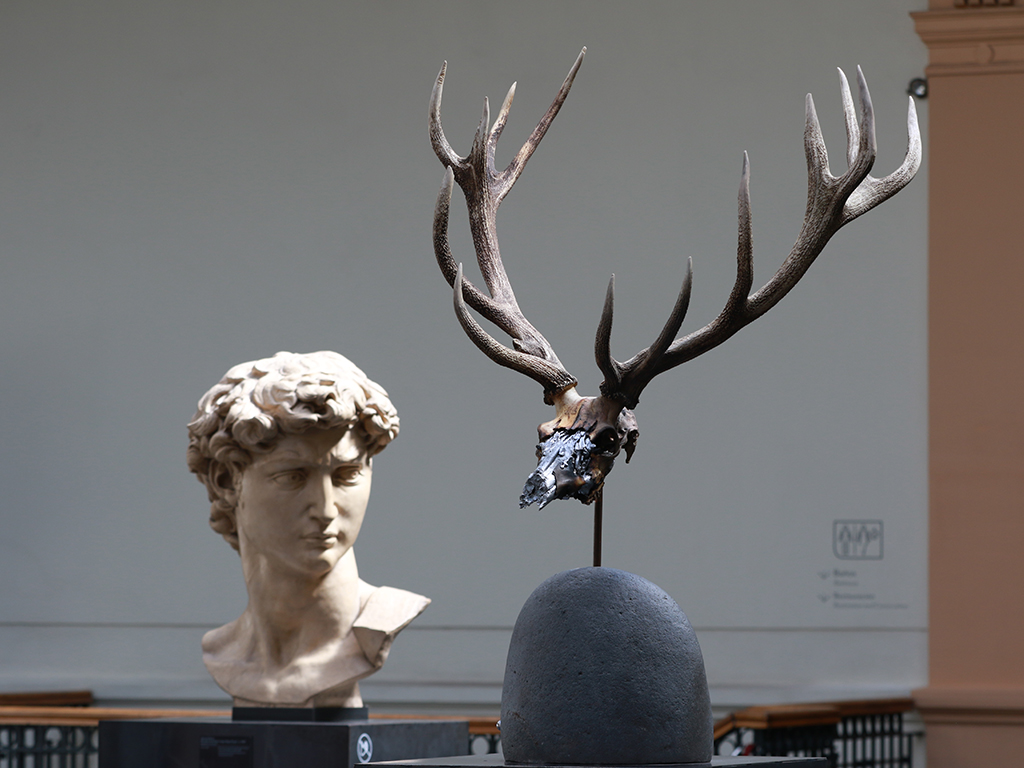 Encuentro con el artista Pablo Concha | Museo Nacional de Bellas Artes